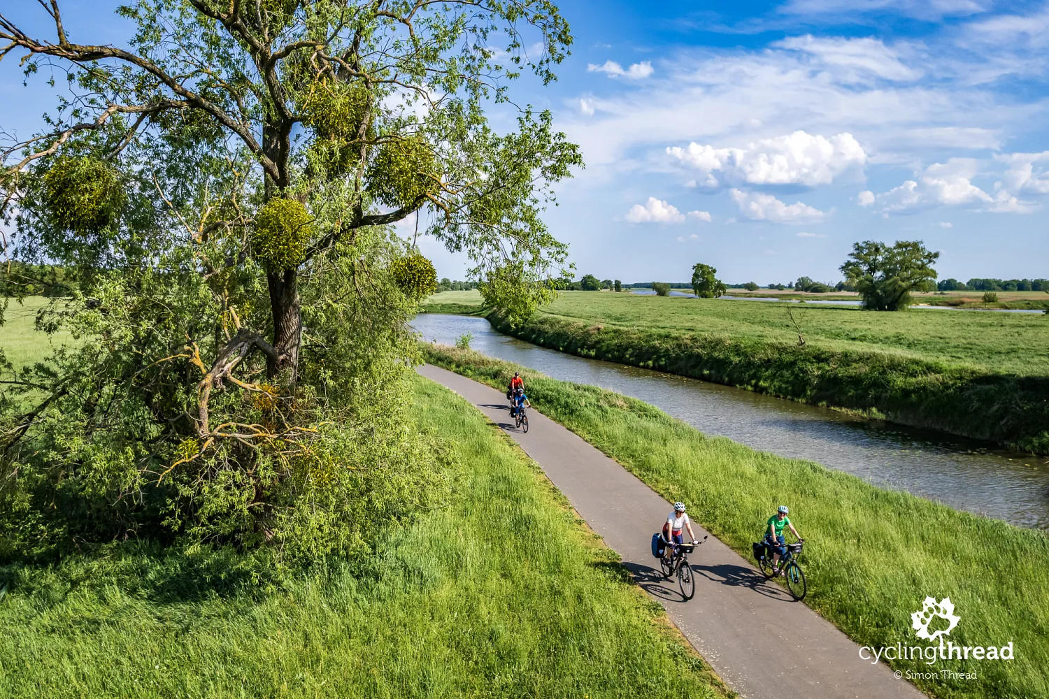 Visit Germany by bicycle: 18 popular cycle routes [2025]